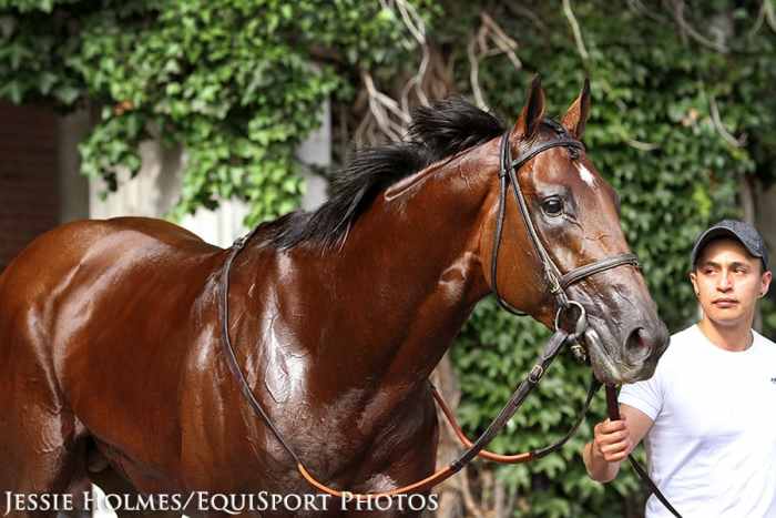 Practical Joke Y American Anthem Destacan En Los 1400 Metros Del H ...