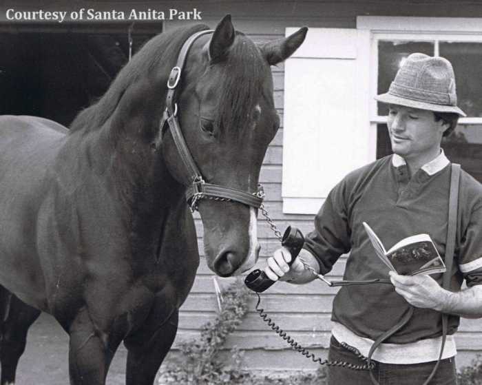 The Quiet Man: Mandella Lets His Horses Do The Talking (First Of Four ...