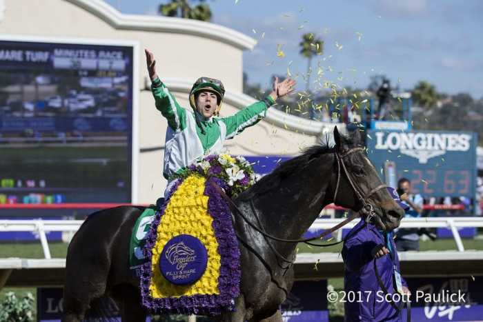 Meet The Mares Of Flightline's Inaugural Book At Stud - Paulick Report ...