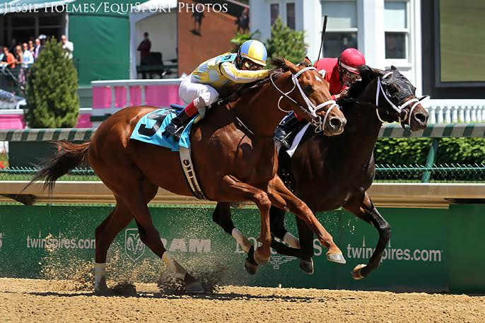 Protonico Relocates To Darby Dan For 2018 - Paulick Report | Latest ...