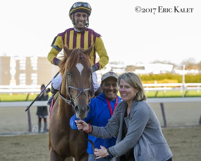 Irish War Cry 'A Little Tired' After Wood, Likely To Remain At Fair ...