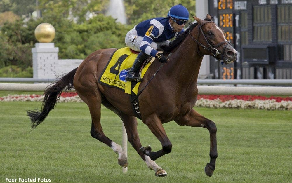 Oscar Performance Returns To The Work Tab At Keeneland - Paulick Report ...