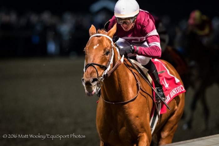 Gun Runner: Gulfstream Officials Working On Details To Allow Horse From ...