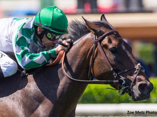 Sircat Sally Still Undefeated After Narrow Honeymoon Victory - Paulick ...