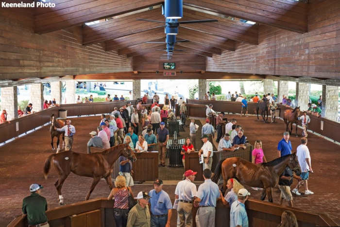 Keeneland To Introduce 'Digital Inspections' For September Yearling ...