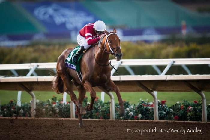Gun Runner A La Cria En Three Chimneys Farm Luego De Correr En Enero La ...