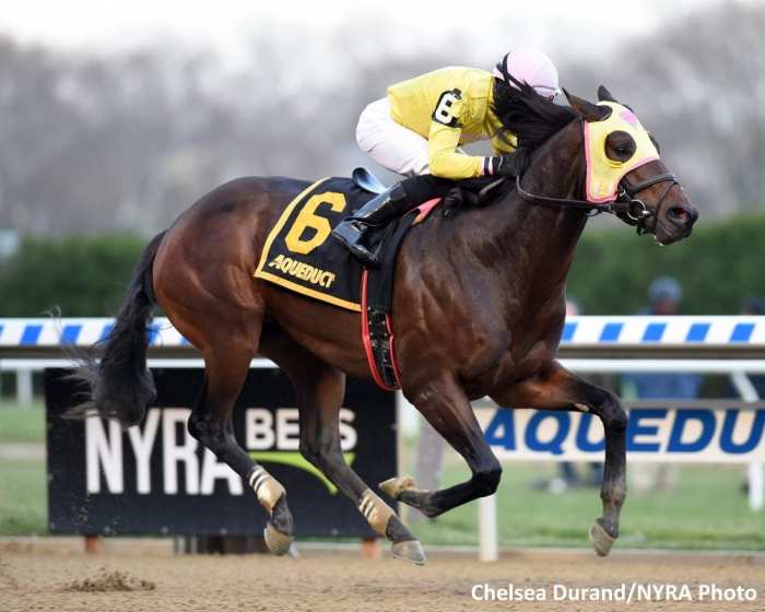 Control Group All The Way In Discovery Handicap - Paulick Report ...