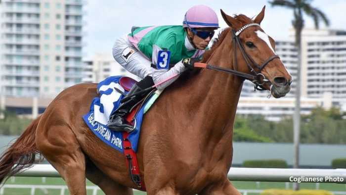 Suffused Last-To-First In The Very One - Paulick Report | Latest news ...