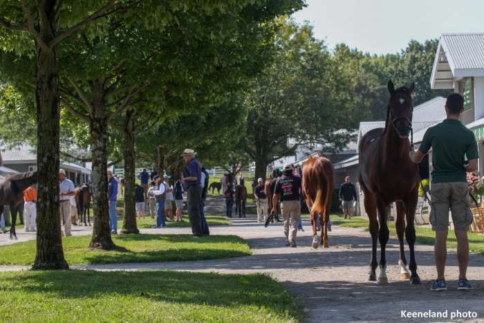 Keeneland To Require Negative COVID-19 Test Proof Upon Arrival At ...