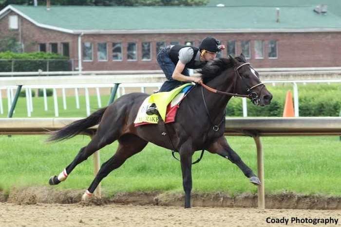 'Happy' McCraken, 'Beautiful' Irish War Cry Post Final Breezes For ...