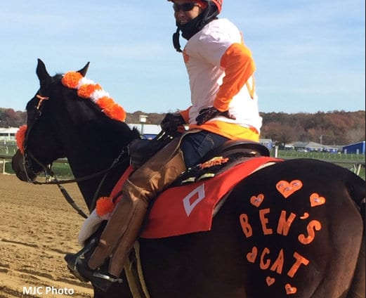 Farewell To The 'Amazing, Magnificent' Ben's Cat - Paulick Report ...