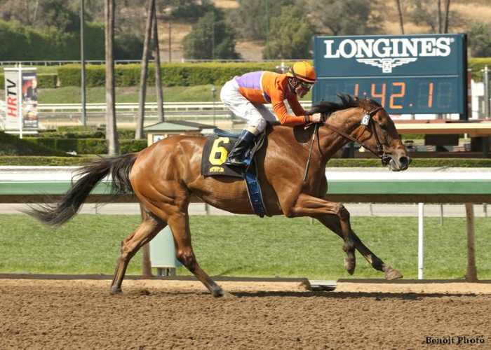 Un Cruce Estelar: La Madre De Beholder Está Preñada Por American ...