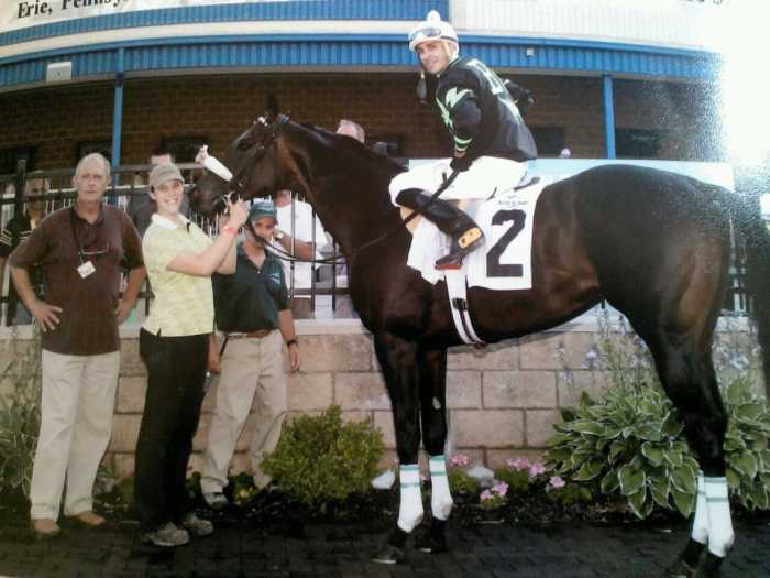 Lost And Found Presented By Horseware: The Horse Whose 'Heart' Carries ...