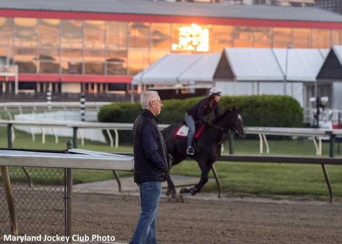 Pletcher Retakes Saratoga Title; Jose Ortiz Leads Standings For Second ...