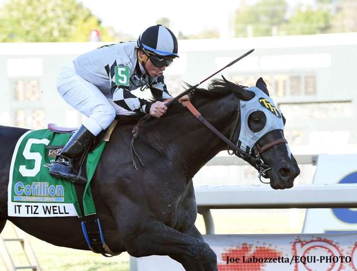 G1 Cotillion Winner It Tiz Well Retired From Racing - Paulick Report ...
