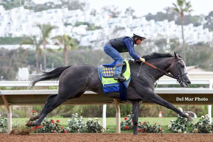 Arrogate Busca Reivindicarse Ante Siete Rivales Este Sábado En El ...