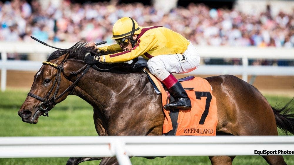 Unfair Advantage? Ward Being Allowed To Work Royal Ascot Team Over ...