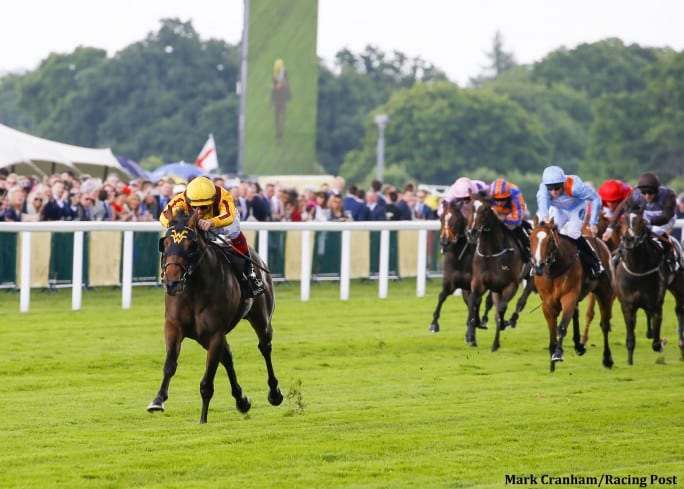 Lady Aurelia Encabeza El Contingente De Wesley Ward Para Royal Ascot ...