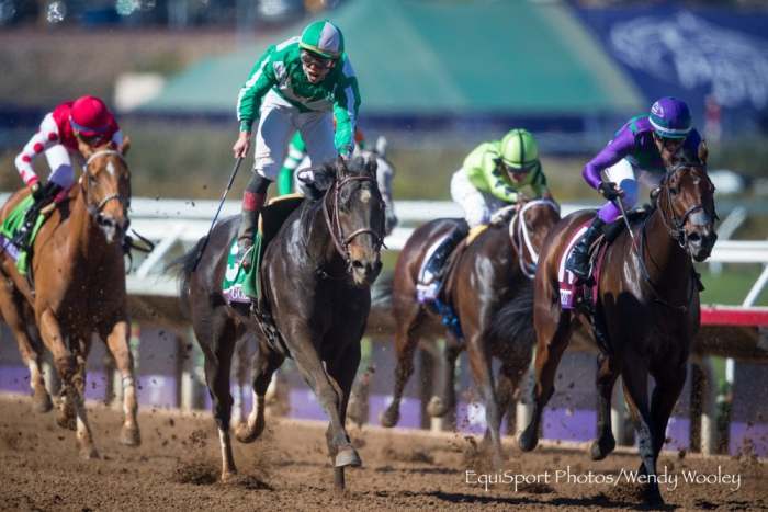 'The Epitome Of Class': Filly & Mare Sprint Champion Bar Of Gold ...