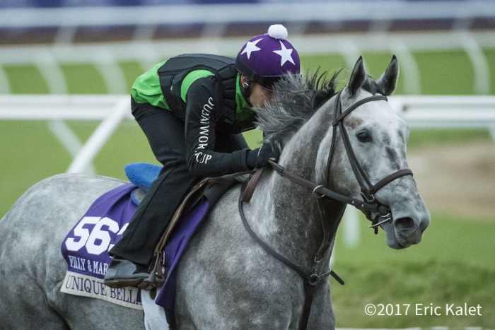 Champion Unique Bella To Face Just Four Rivals In G2 Santa Maria ...