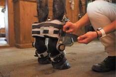 New Equine Leg Brace Could Be Game-Changer For Injury Recovery ...