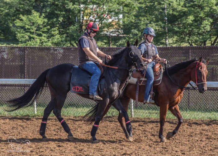 Trainer Davidson Killed In Florida Car Accident, Jockey Fadlovich ...