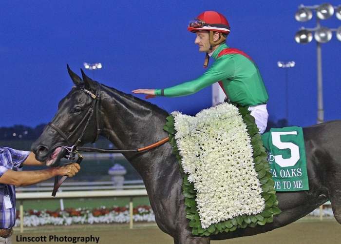 Talk Veuve To Me 'Deserves A Shot' In Alabama - Paulick Report | Latest ...