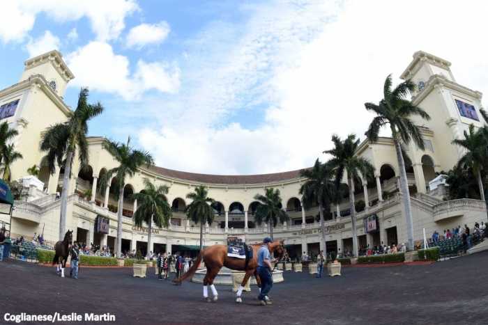Updated: Tests Show Gulfstream Filly Did Not Die Of EHV-1 - Paulick ...