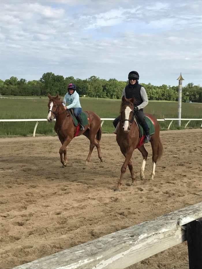Twin Thoroughbreds Mr. Ping And Mr. Pong To Race Each Other Friday ...
