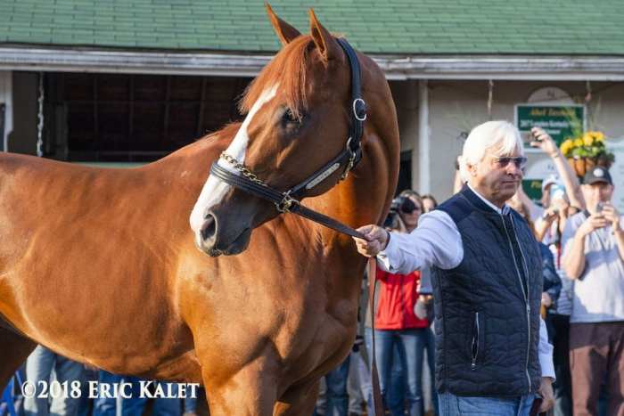 On To Pimlico For Justify: Baffert A Perfect 4-For-4 In Preakness With ...