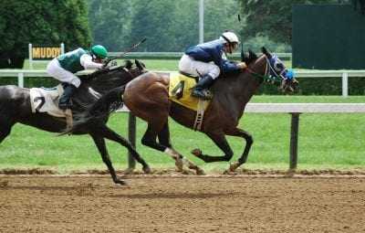 Some Horses May Leave Woodbine; Other EHV-1 Cases Linked To The Track ...