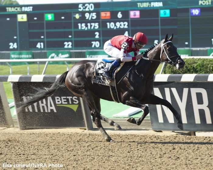 Midnight Bisou Puts On A Show In Mother Goose - Paulick Report | Latest ...