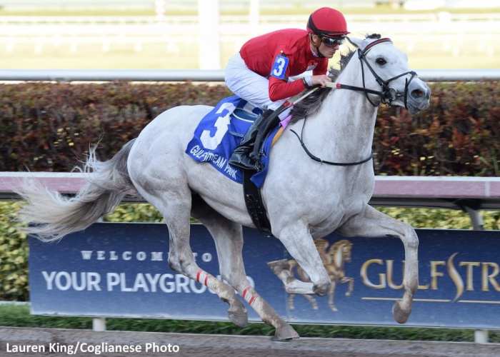 Madison's Luna Dominates Stakes Debut In Hutcheson - Paulick Report ...