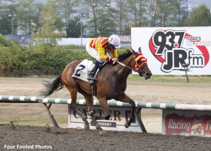 Gryder Rides Five Winners In A Row Friday At Hastings - Paulick Report ...