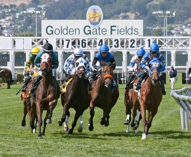 Wildfire Smoke Forces Racing Cancellation At Golden Gate Fields ...