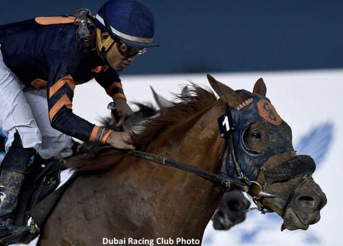 Breeders' Cup Countdown Presented By DRF Bets: Why European Horses Can ...