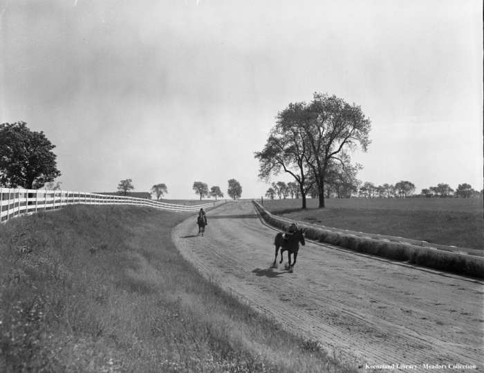 Kentucky Farm Time Capsule: Maine Chance Farm - Paulick Report | Latest ...