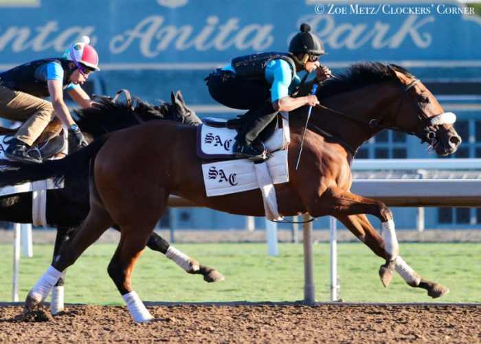 Bellafina Found To Have Been In Season During Fourth-Place Juvenile ...