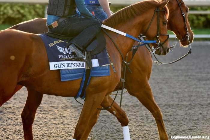 Equibase Analysis: Gun Runner Tough To Beat In Pegasus World Cup ...
