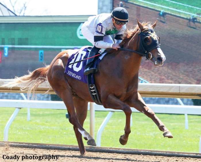 Adena Springs Freshman Sire Capo Bastone Gets First Winner From First ...