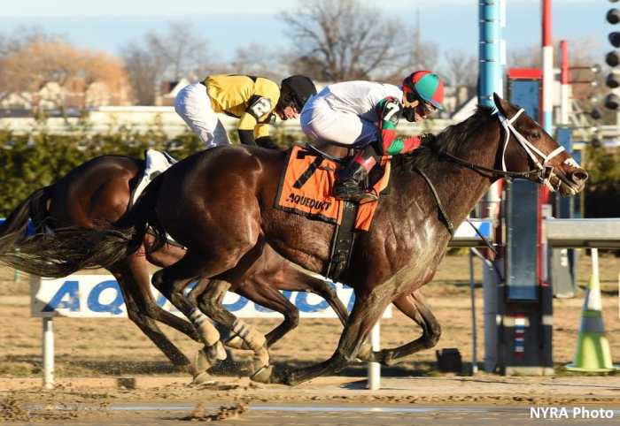 Firenze Fire Likely To Skip Withers, Point To Gotham - Paulick Report ...