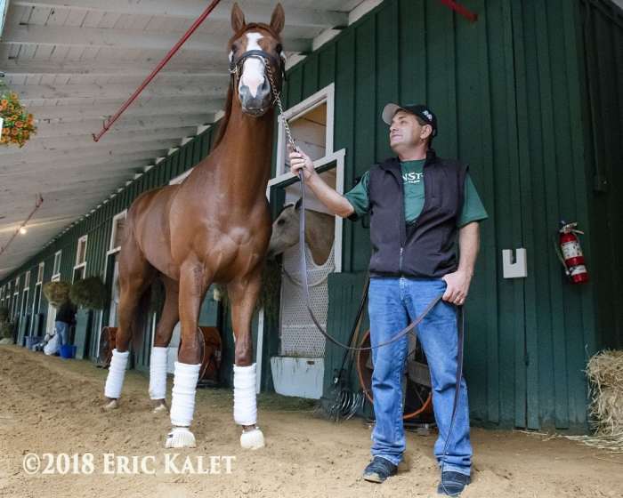 'Chowhound' Justify Resumes Training On Thursday; Lukas Says Bravazo ...