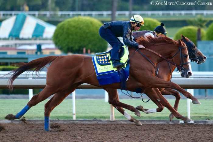 Justify 'Enjoying What He's Doing' In Seven-Furlong Tune-Up - Paulick ...
