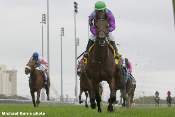 Josie Carroll Becomes First Female Trainer Inducted Into Canadian Horse ...