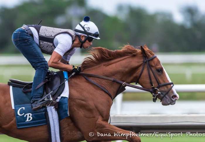 Good Magic 'A Little Tired' After Third-Place Effort In Fountain Of ...