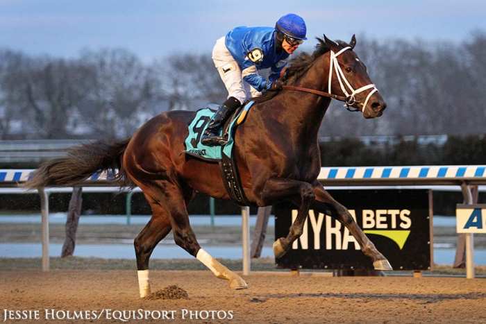 McLaughlin Will Train Enticed At Palm Meadows For The 'Weather,' 'Quiet ...