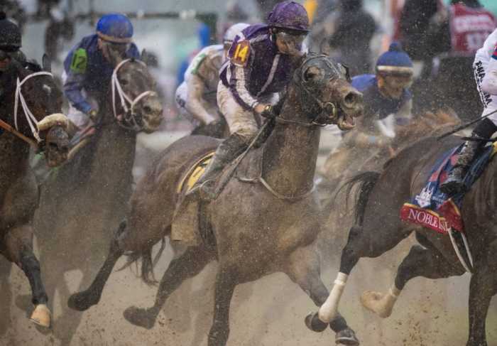 Mendelssohn Tries To Rebound From Derby Debacle In Belmont's Dwyer ...