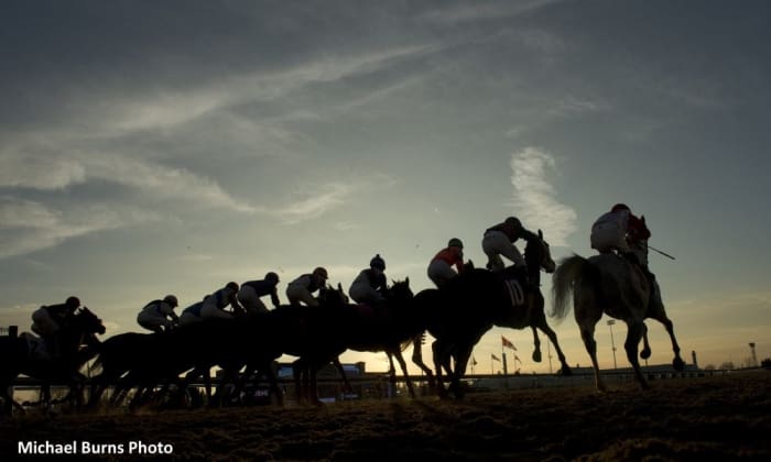 Attard Sends Shakopee Town Out For Canadian Debut In G3 Whimsical On ...