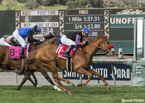 Madam Dancealot Overcomes Slow Pace For Santa Ana Victory - Paulick ...