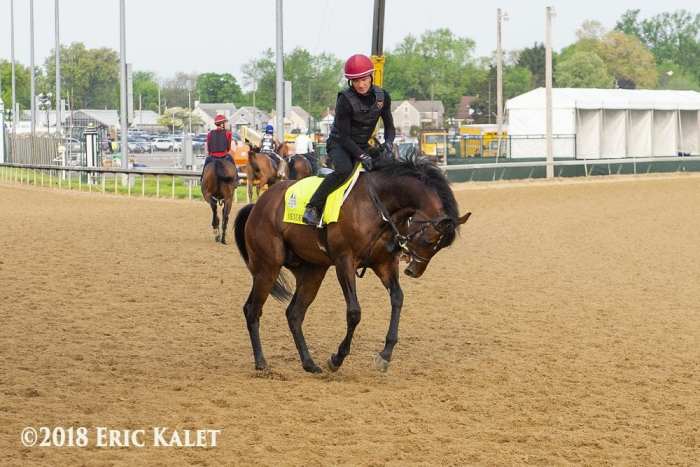 Mendelssohn Announces His Presence During First Training Session At ...